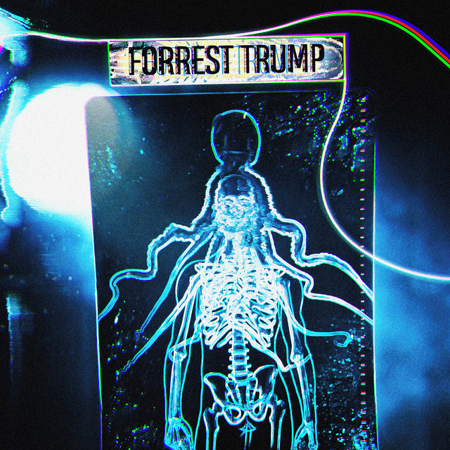 Forrest Trump - Single by MASKONTRAST | Spotify
