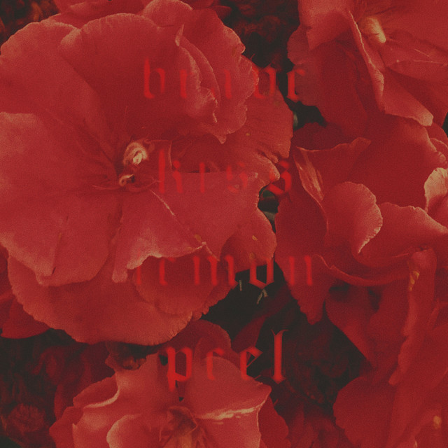 Brave Kiss Lemon Peel - song and lyrics by Toto Blu | Spotify
