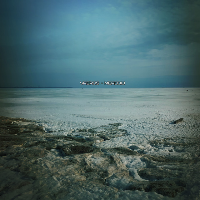 Meadow - Single by Vaeros | Spotify
