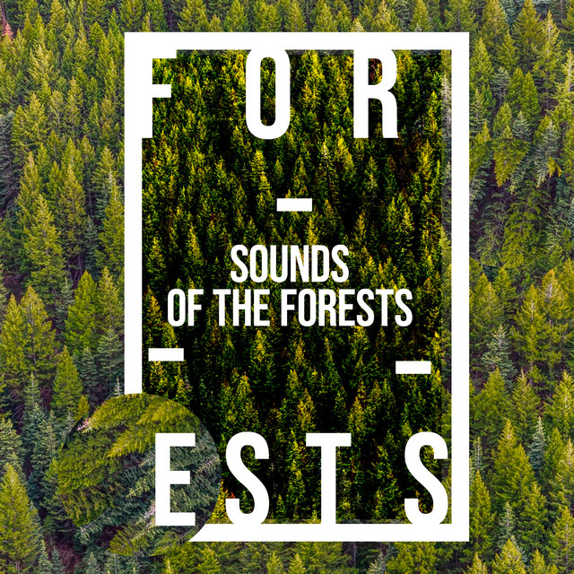 Sounds of the Forests ! ! ! ! - Album by Forest Sounds | Spotify