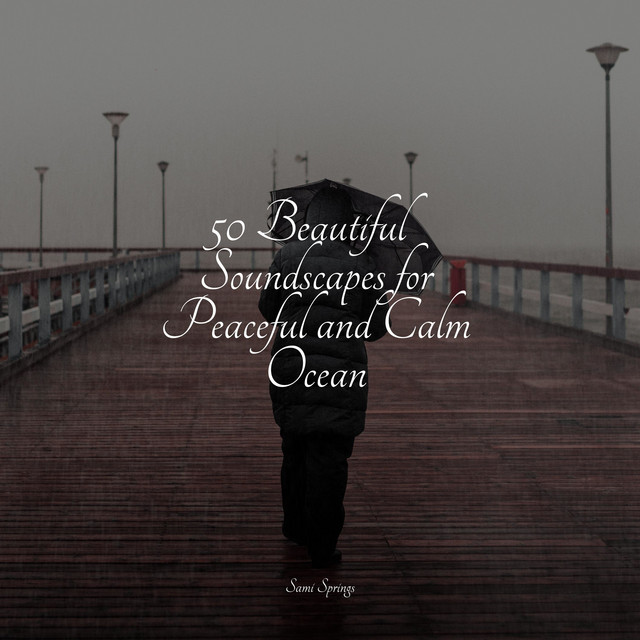 50 Beautiful Soundscapes for Peaceful and Calm Ocean - Album by ...