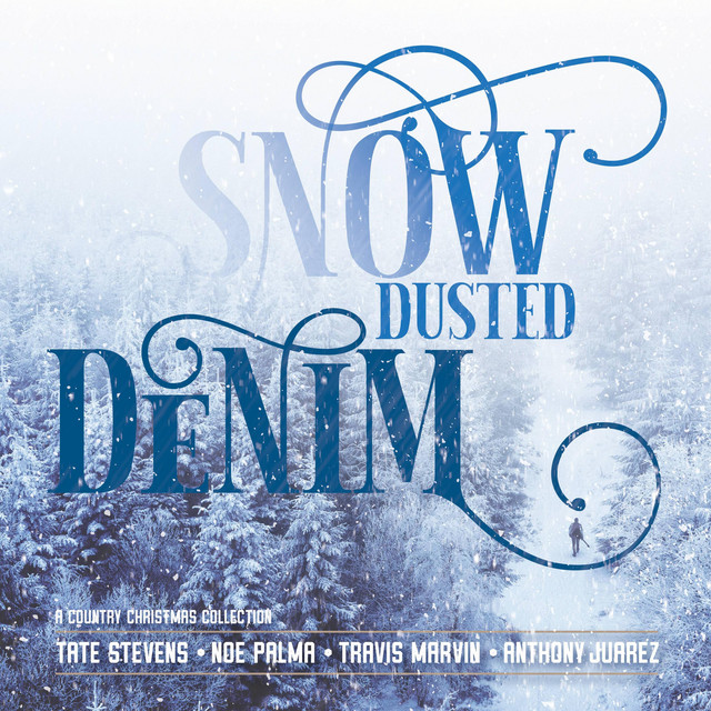 Snow Dusted Denim, Vol. 3 - Single by Anthony Juarez | Spotify
