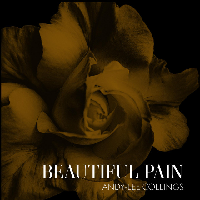Beautiful Pain - Single by Andy-Lee Collings | Spotify