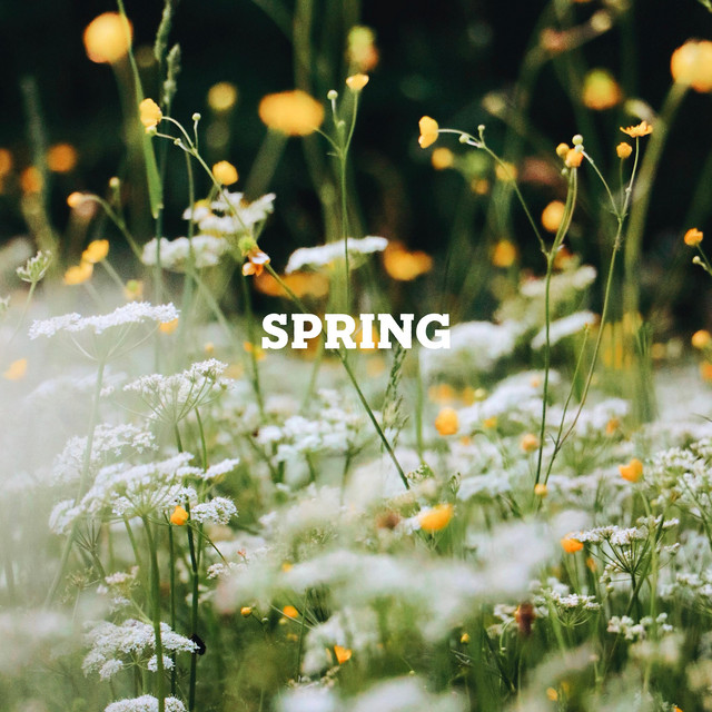 Spring - Single by My season | Spotify