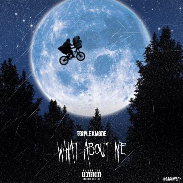 What About Me - Single by Triplexmode | Spotify