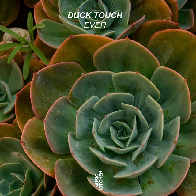 Ever - Single by Duck Touch | Spotify