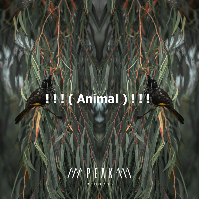 Animal ) ! ! ! - Album by Life Sounds Nature | Spotify