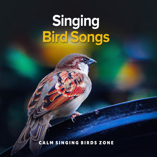 Singing Bird Songs - Album by Calm Singing Birds Zone | Spotify