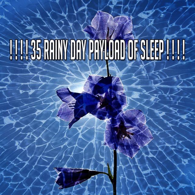 35 Rainy Day Payload Of Sleep ! ! ! ! - Album by Relaxing Rain Sounds ...