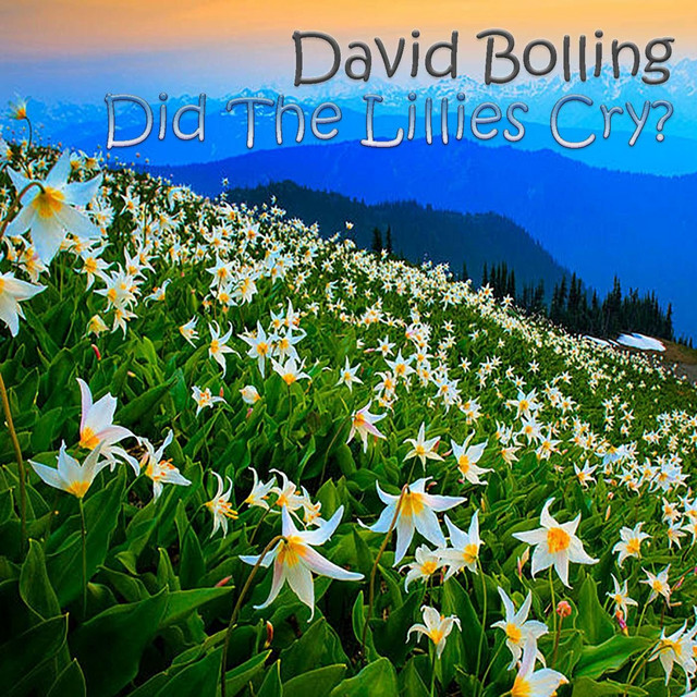David Bolling | Spotify