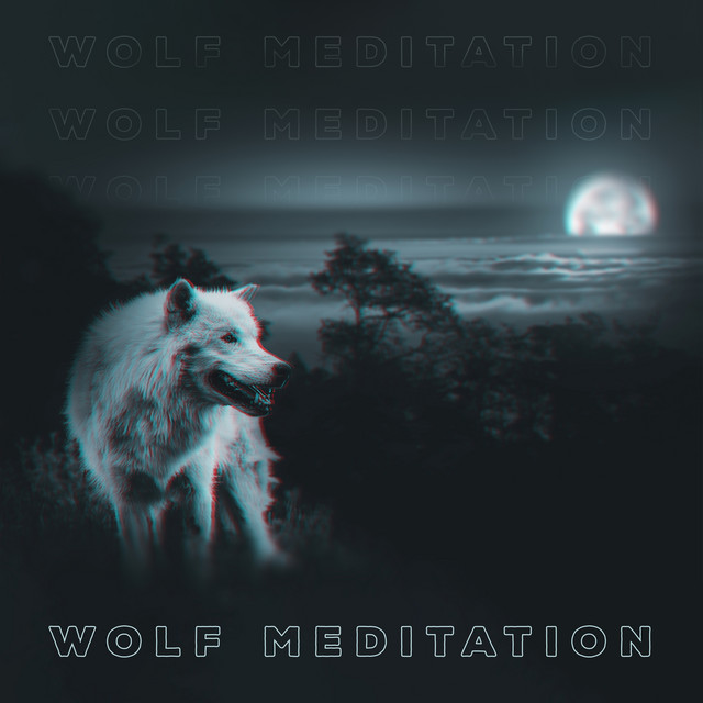 Wolf Meditation: Shamanic Drum & Flute Music with Howling Wolves (Full ...