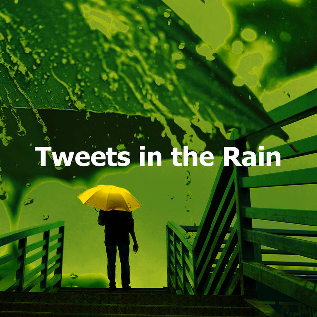 Tweets in the Rain - Album by Rainfall | Spotify