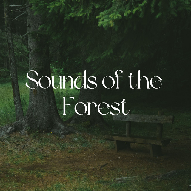 Sounds of the Forest - Album by Organic Nature Sounds | Spotify