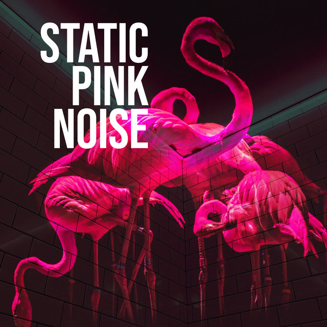 Static Pink Noise ! ! ! ! - Album by Pink Noise | Spotify
