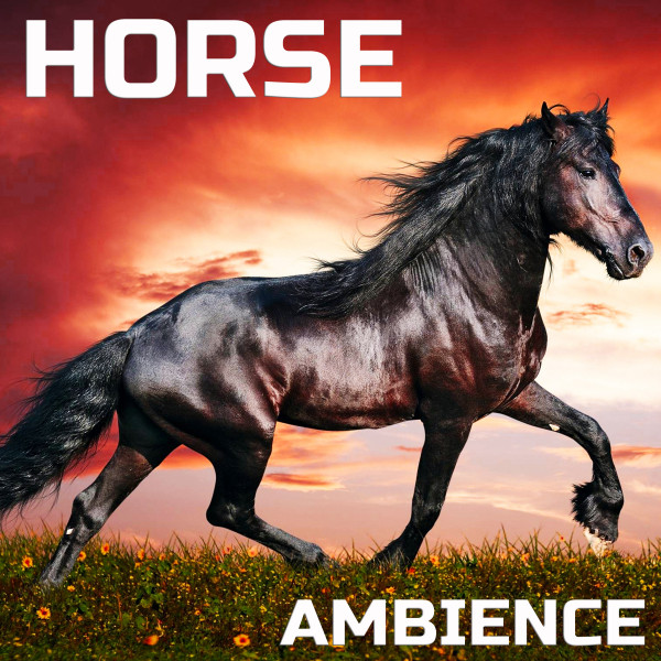Ambience of Horse Sounds - song and lyrics by Animal Planet FX, Horse ...
