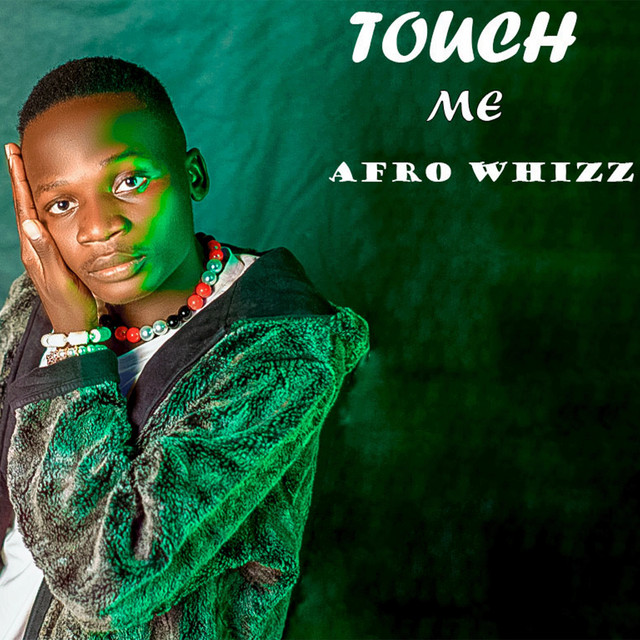 Touch Me - Single by afro whizz | Spotify
