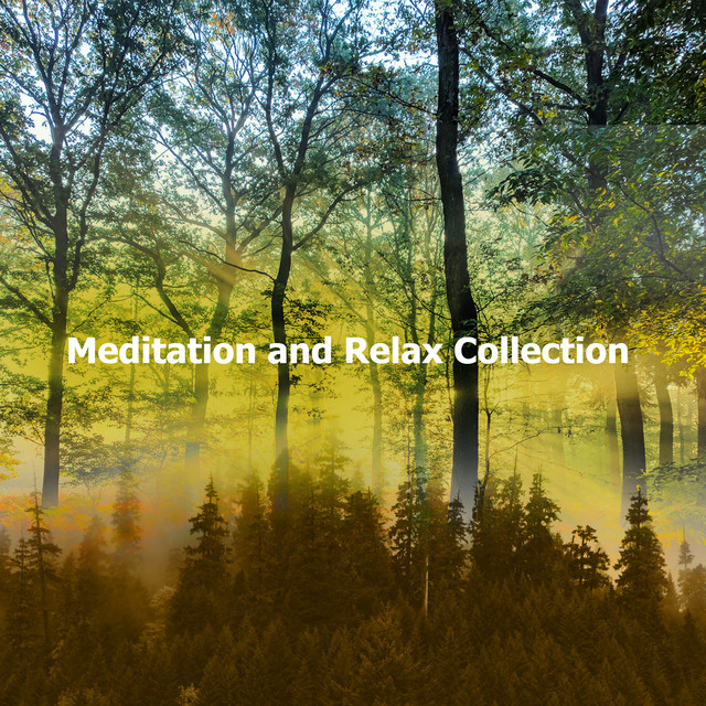 Meditation and Relax Collection - Album by Relaxing Music Therapy | Spotify