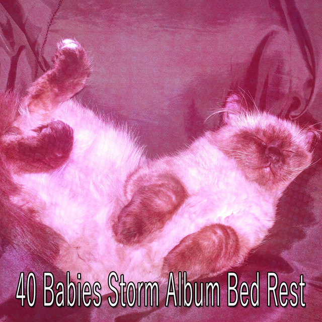 40 Babies Storm Album Bed Rest - Album by Weather Factory | Spotify