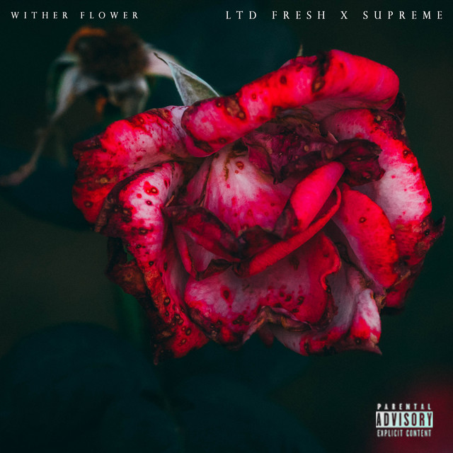 Wither Flower - Album by Ltd Fresh | Spotify