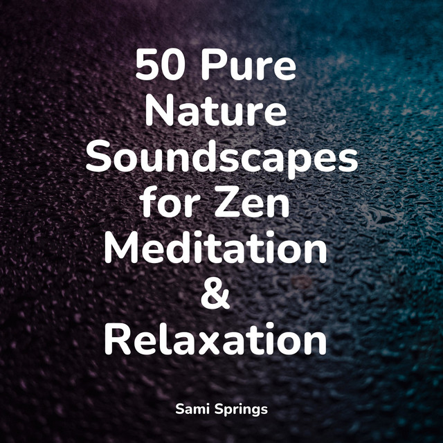 50 Pure Nature Soundscapes for Zen Meditation & Relaxation - Album by ...