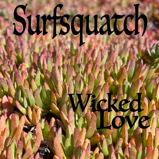 Wicked Love - Single by Surfsquatch | Spotify