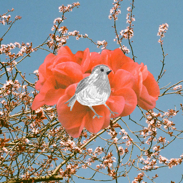 BOKIKOKIKO | Spotify