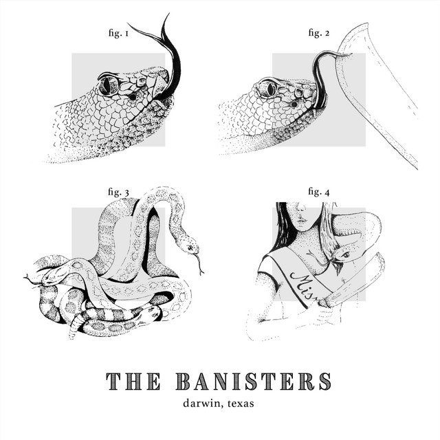 Darwin, Texas - Album by The Banisters | Spotify