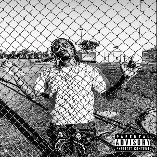 Born Ready - Album by YB Yung Bird | Spotify