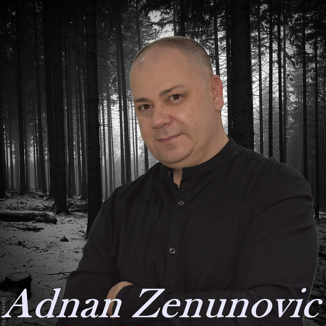 Ljubav Iz Mladih Dana - Single by Adnan Zenunovic | Spotify