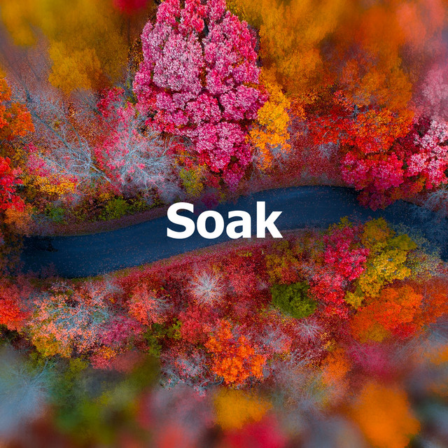 Soak - Album by Nature & Sounds Backgrounds | Spotify