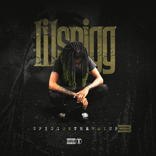 Spigg on the Way Up 3 - Album by Lil Spigg | Spotify