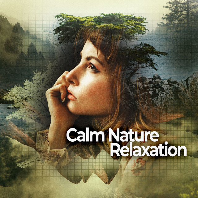 Calm Nature Relaxation - Album by Relaxing Music Therapy | Spotify
