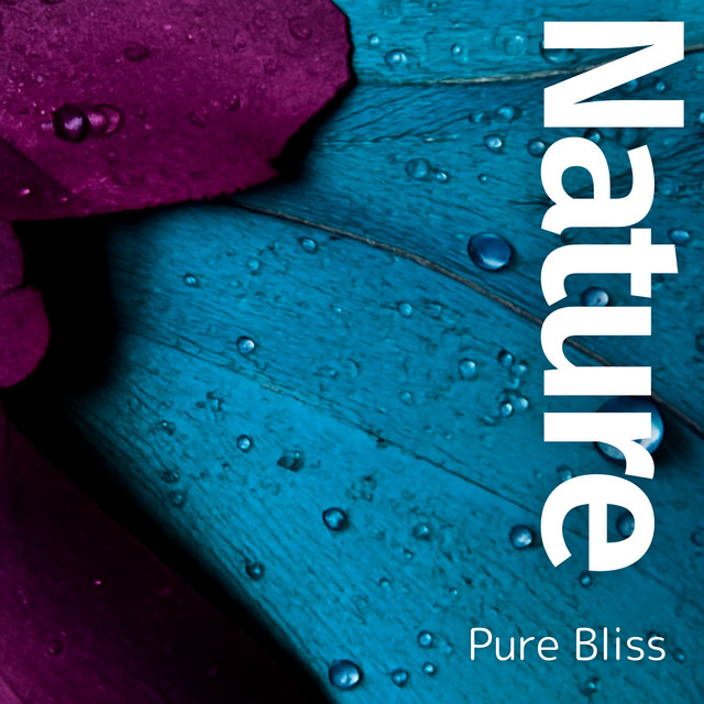 Nature Pure Bliss - Album by Nature sounds for deep sleep | Spotify