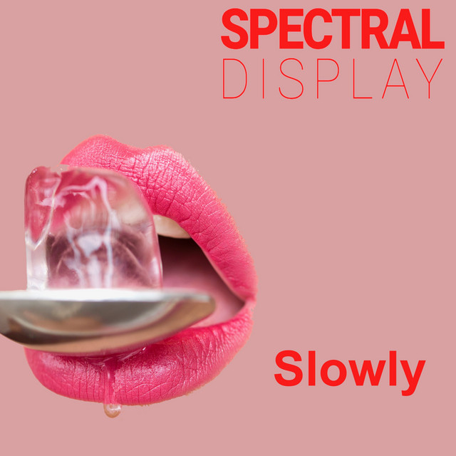 Slowly - song and lyrics by Spectral Display | Spotify