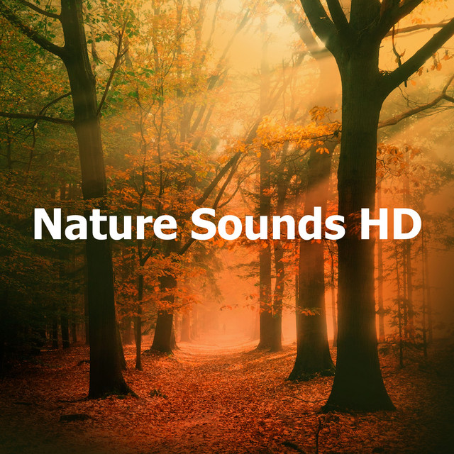 Nature Sounds HD - Album by Mother Nature Recordings | Spotify