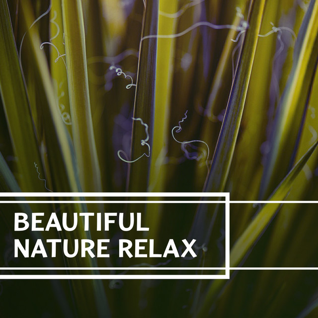 Beautiful Nature Relax – Sounds of Nature Relaxation, Outdoors Sounds ...