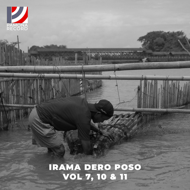 Irama Dero Poso, Vol. 7, 10, 11 - Album by Pamona Record | Spotify