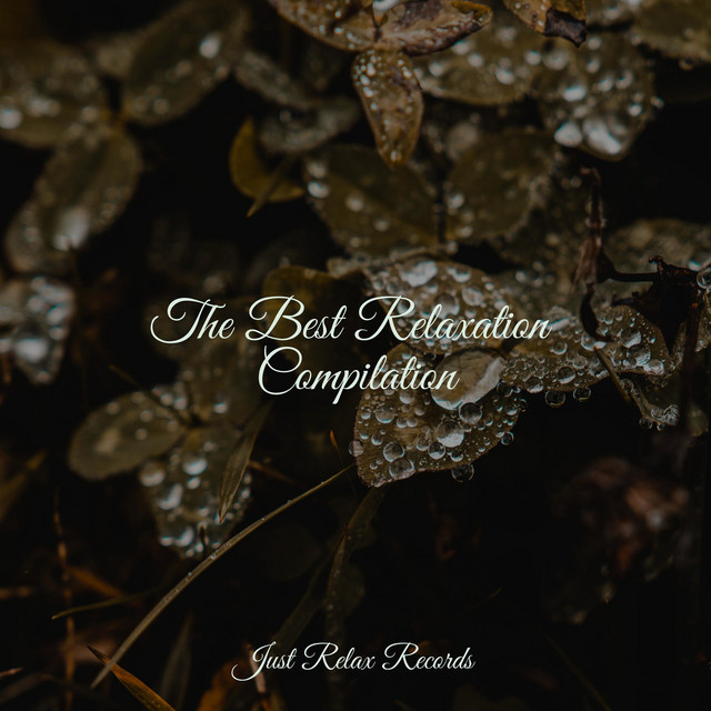 The Best Relaxation Compilation - Album by Deep Sleep Meditation | Spotify