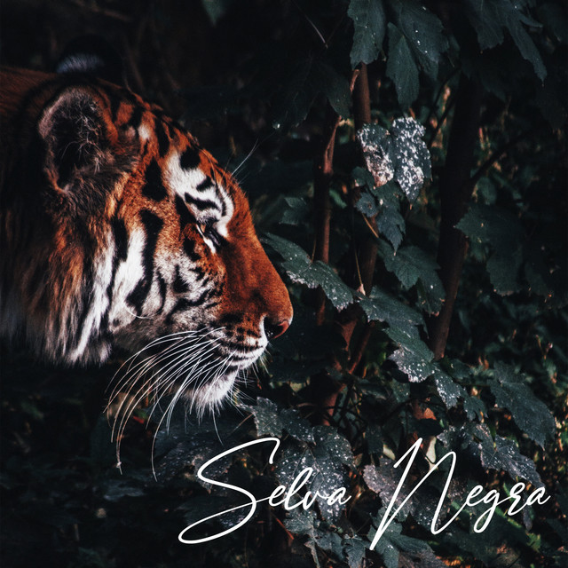 El Ritmo Salvajemente Tropical - Album by Selva Negra | Spotify
