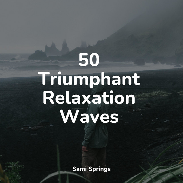 50 Triumphant Relaxation Waves - Album by White Noise Sound Garden ...