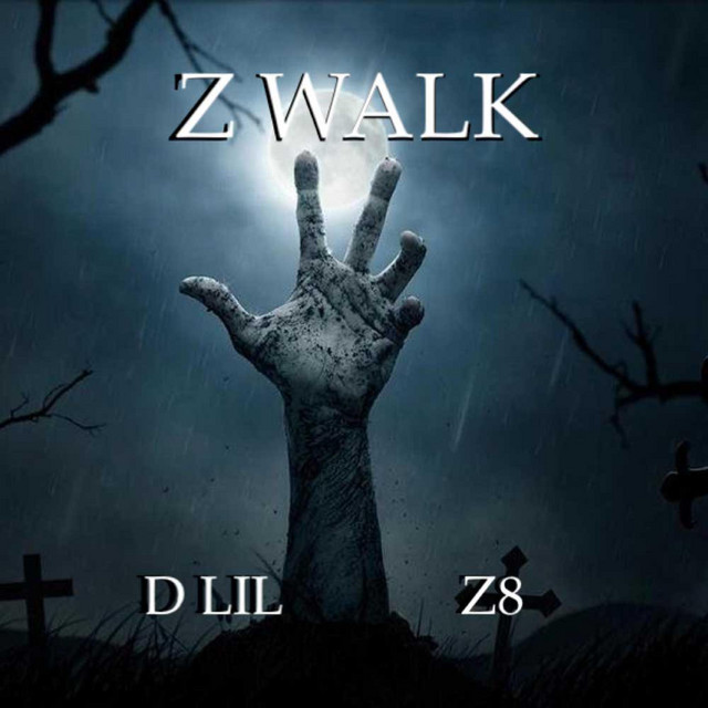 Z Walk - Single by Z8 | Spotify