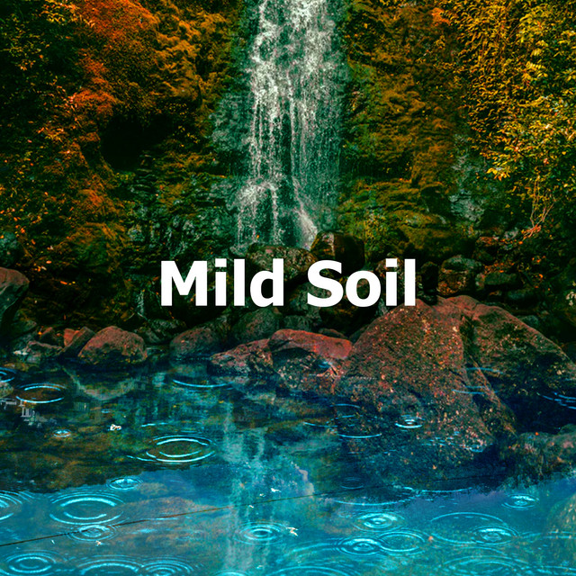 Mild Soil - Album by Sleep Sounds Rain | Spotify