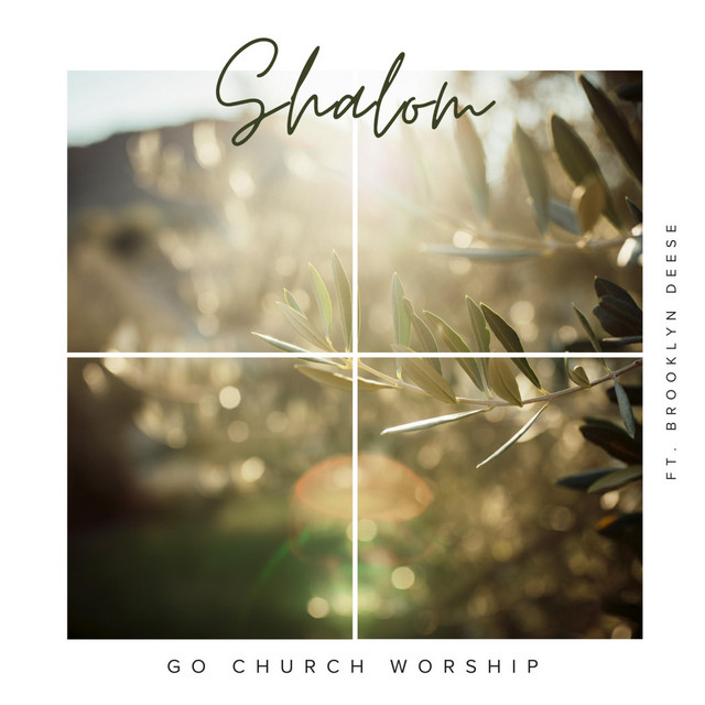 Shalom - song by GO Church Worship, Brooklyn Deese | Spotify