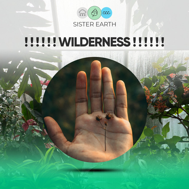Wilderness ! ! ! ! ! ! - Album by Nature Sounds XLE Library | Spotify