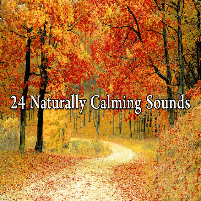 24 Naturally Calming Sounds - Album by Nature Sounds Nature Music | Spotify