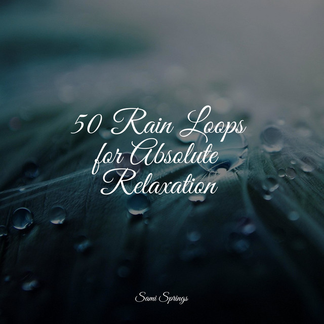 50 Rain Loops for Absolute Relaxation - Album by White Noise for Babies ...