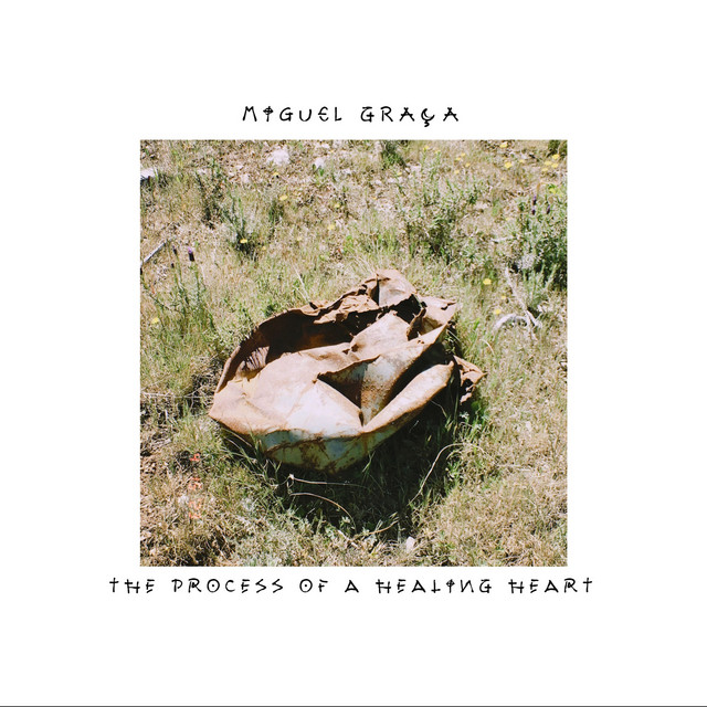The Process Of A Healing Heart - Album by Miguel Graça | Spotify