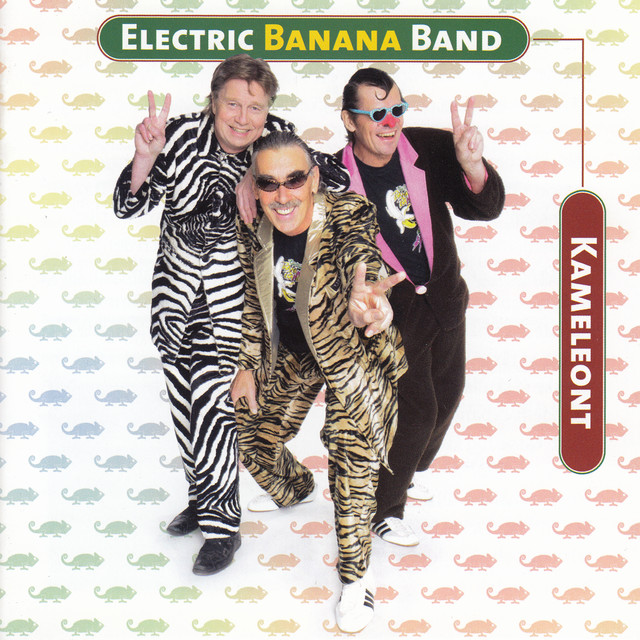BPM and key for songs by Electric Banana Band | Tempo for Electric ...