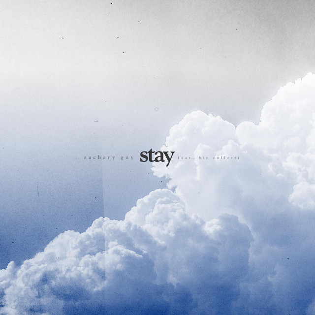 Stay - Single by Zachary Guy | Spotify
