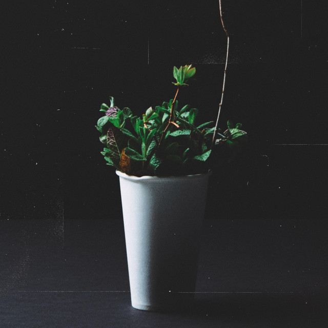 plants that cry - Single by bax | Spotify